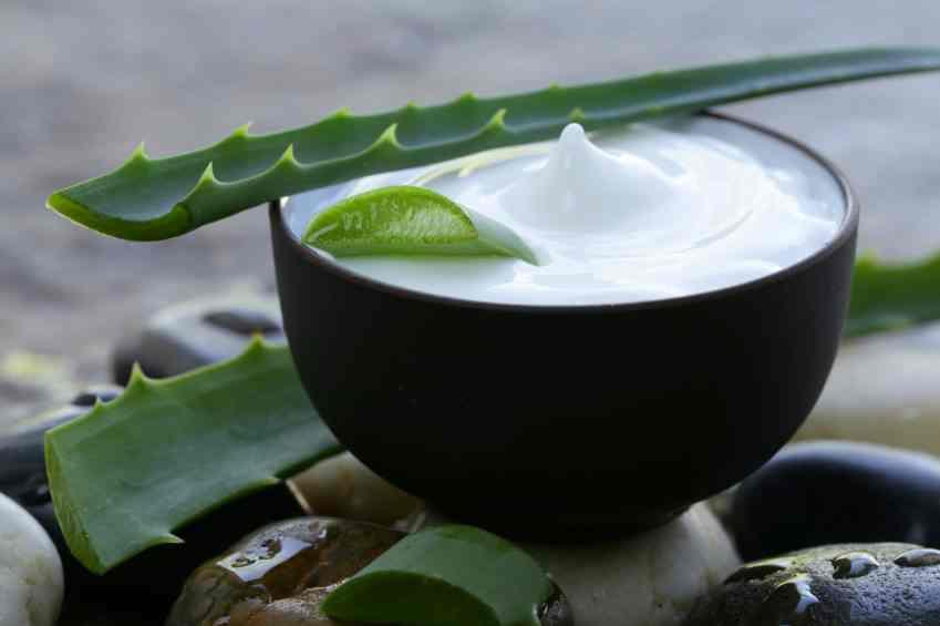 Cómo hacer GEL de ALOE VERA Casero FÁCIL y con VÍDEO