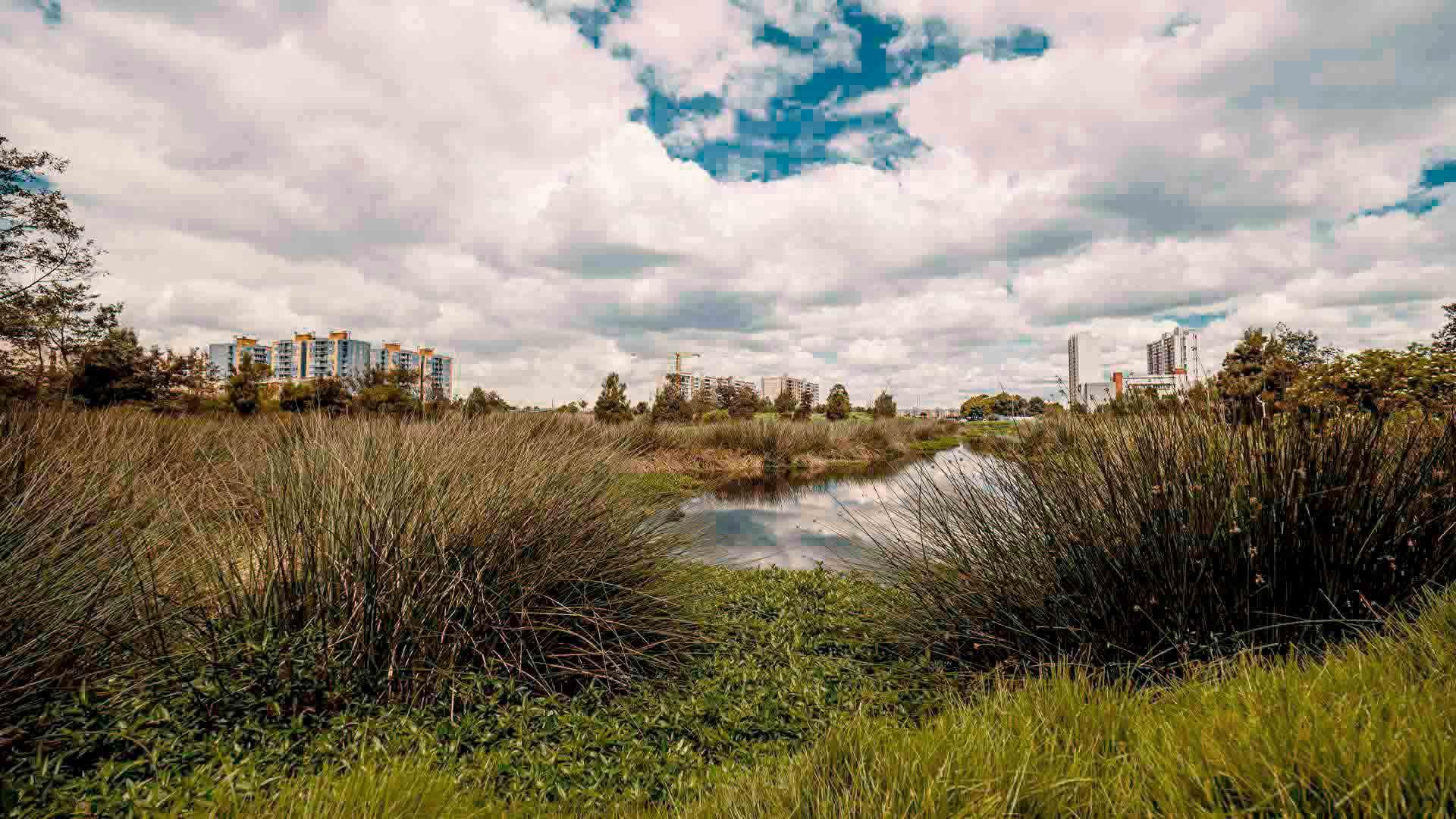 15 humedales de Bogotá - Nombres y características