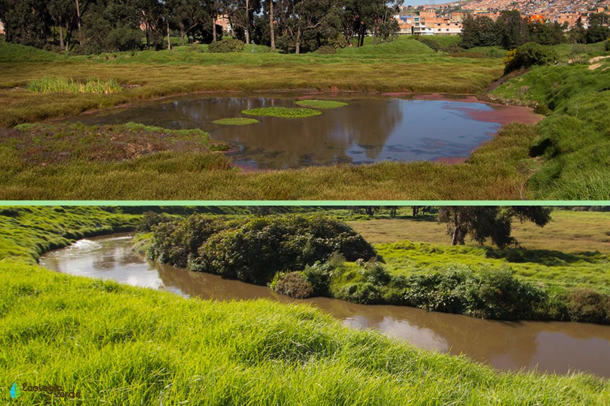 15 humedales de Bogotá - Nombres y características