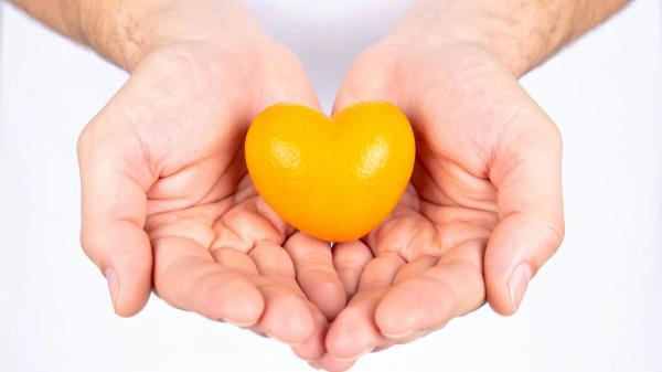 Ulla Rothschuh, experta en biología, desvela las propiedades y ...