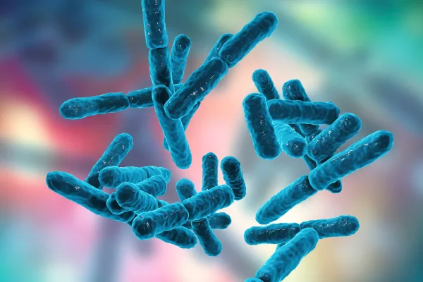 arqueobacterias ejemplos