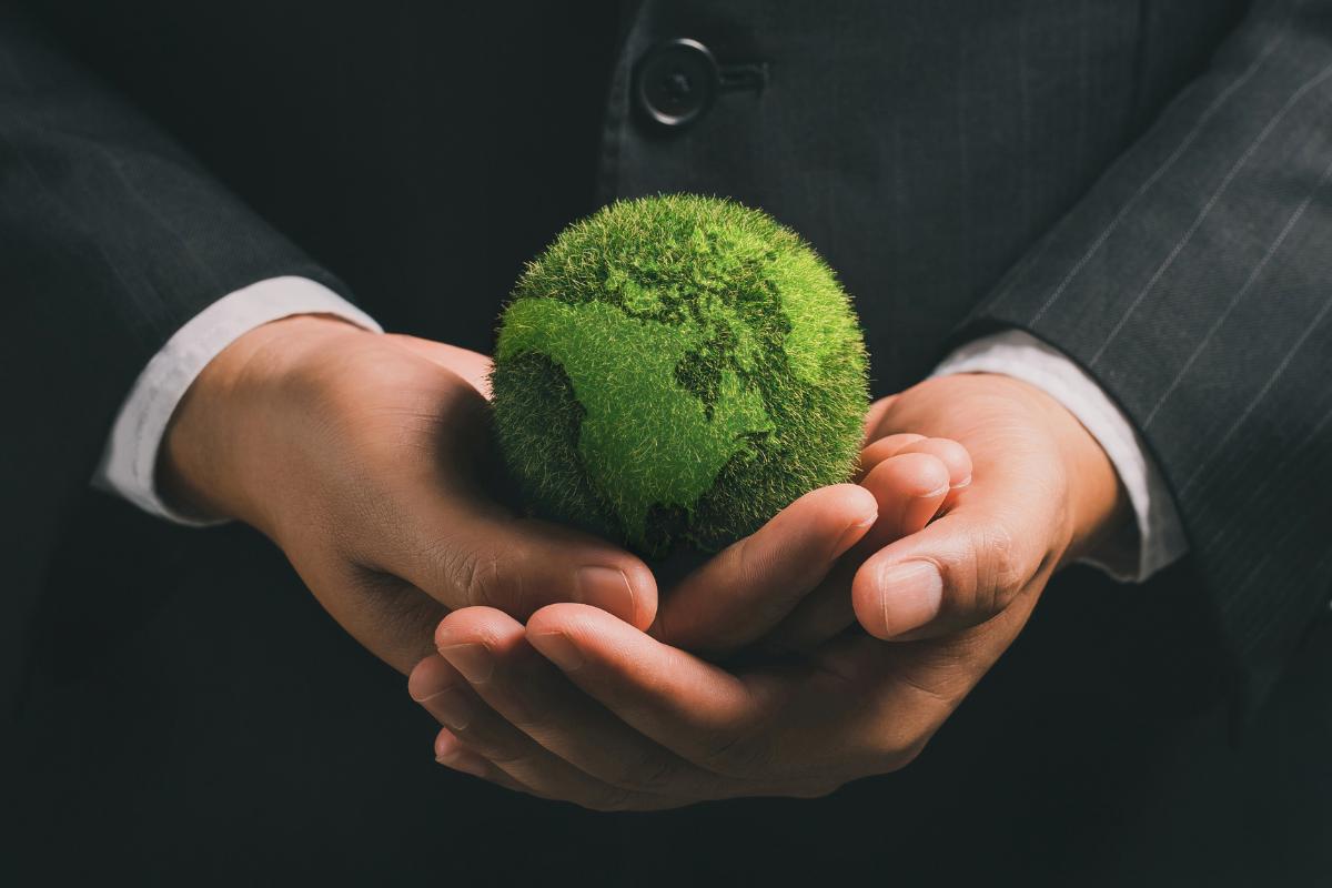 Empresa ecológica: qué es e importancia - Resumen