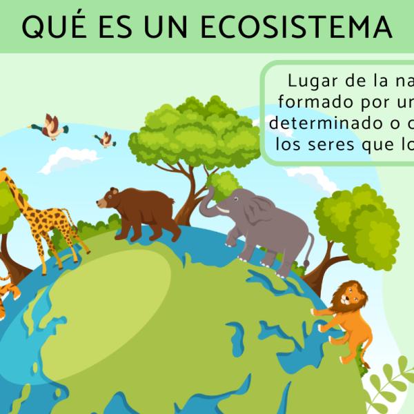 Modelos De Ecosistemas En Ravena