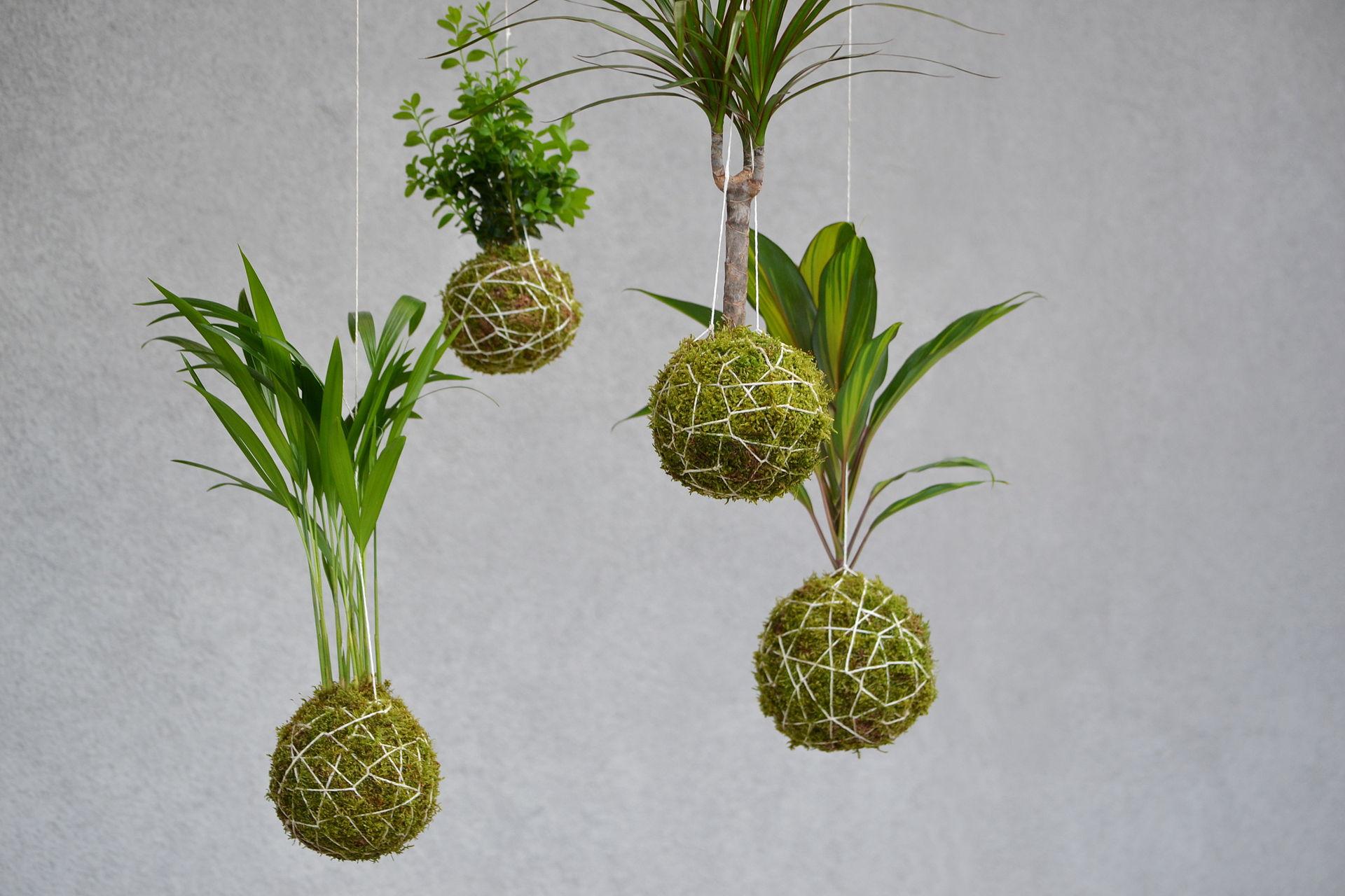 Cómo hacer un kokedama paso a paso - guía práctica y fácil