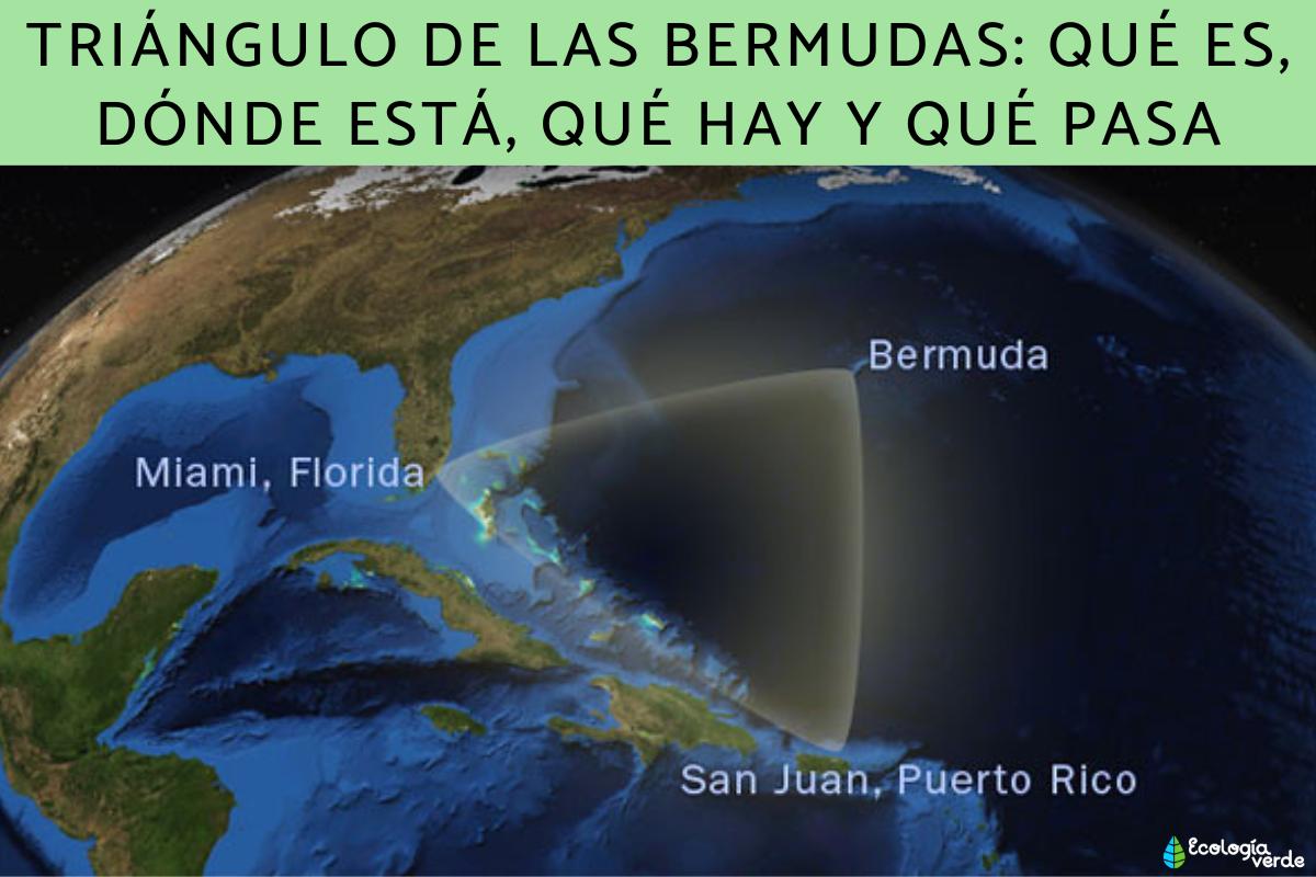Triángulo de las Bermudas: qué es, dónde está, qué hay y qué pasa - Resumen