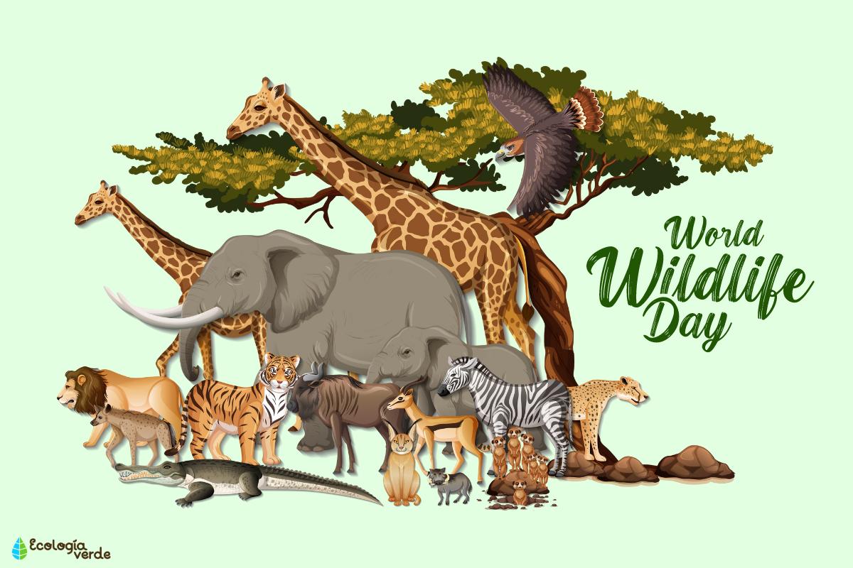 Día Mundial De La Vida Silvestre Cuándo Es Y Frases 3 De Marzo