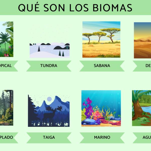 Principales Biomas Del Mundo Bioma Acutico Bosque ALBANDA: GEOGRAFÍA