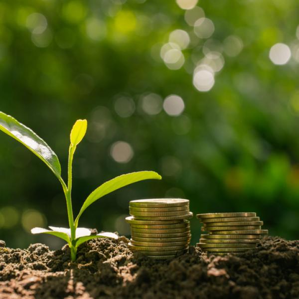 What Is Capital? Definition, Types, And Examples Pareto, 42% OFF