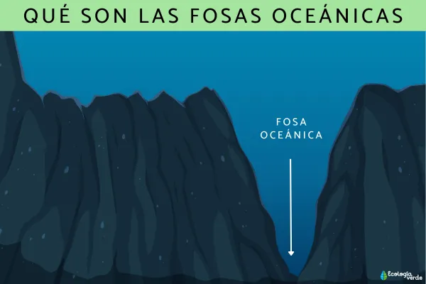 fosas oceanicas