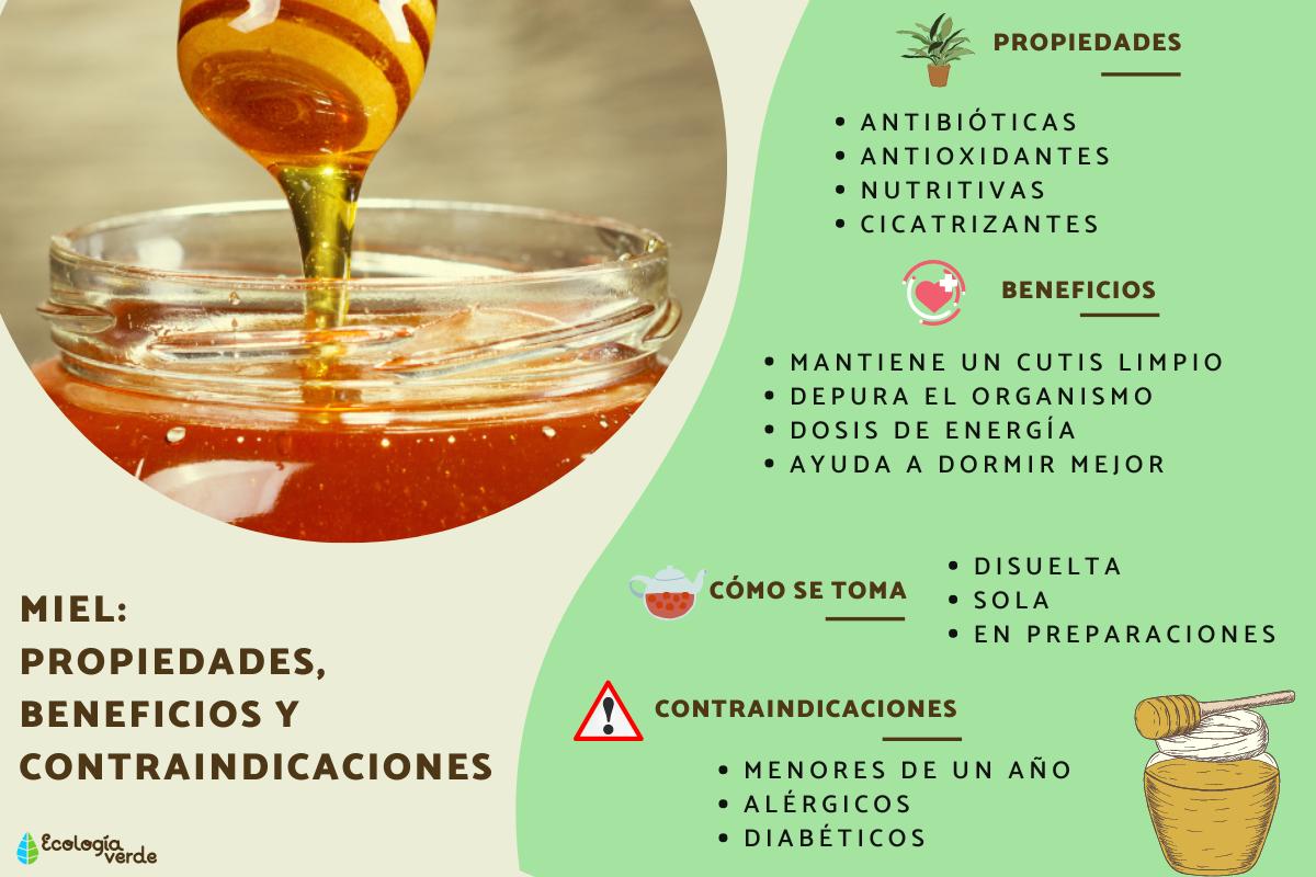 Miel: propiedades, beneficios y contraindicaciones - Guía completa