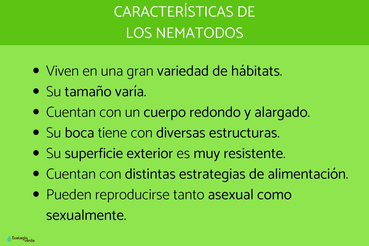 Qué son los nematodos: características, clasificación y ejemplos - FOTOS
