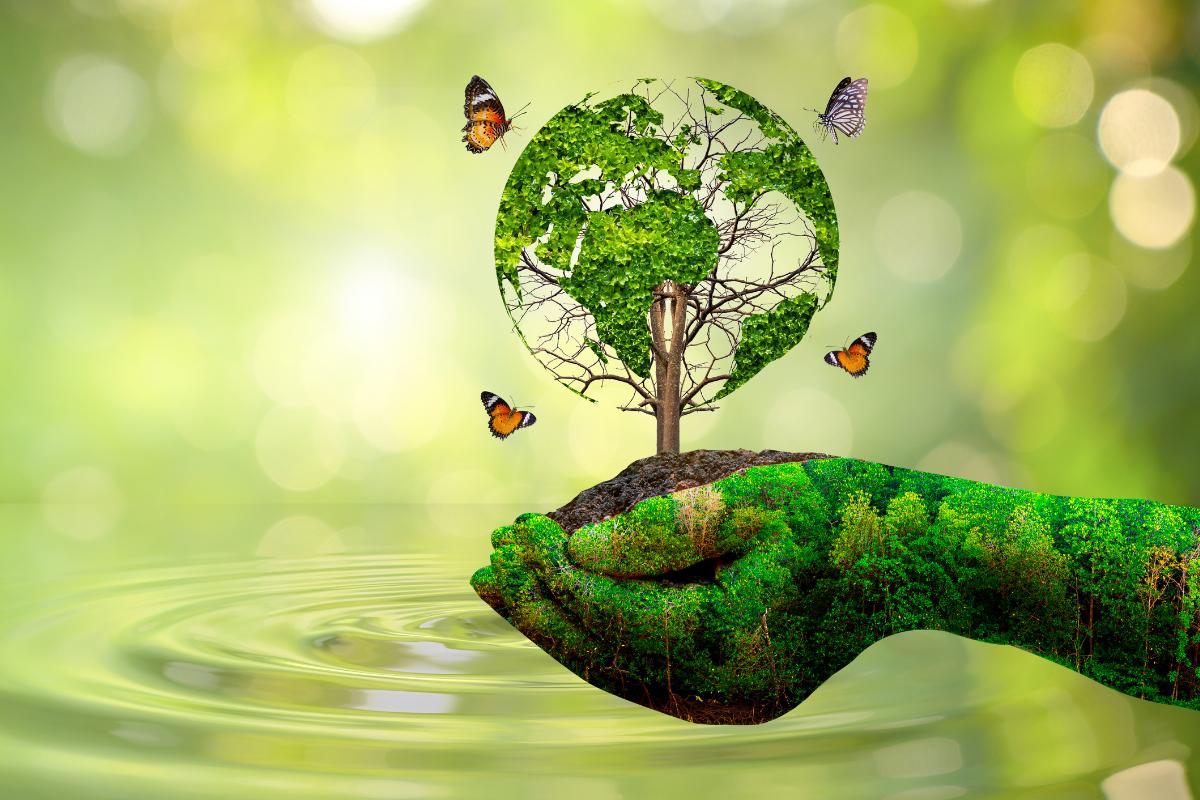 Ecología integral: qué es y ejemplos - Resumen