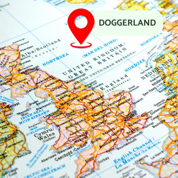 doggerland flag