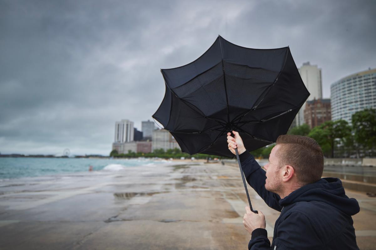 Cuándo se considera viento fuerte - Descubre la velocidad