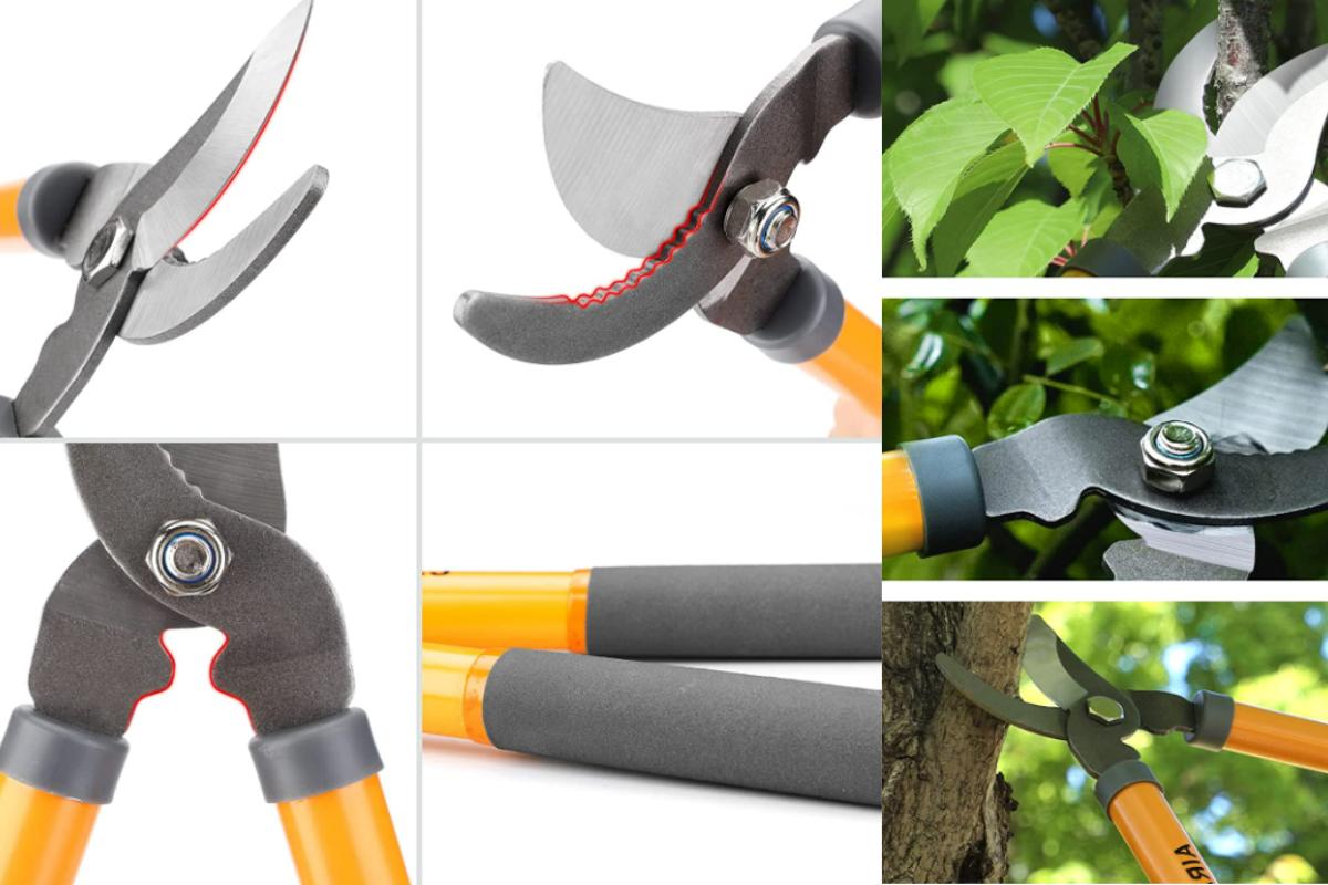 Las 10 mejores tijeras de podar