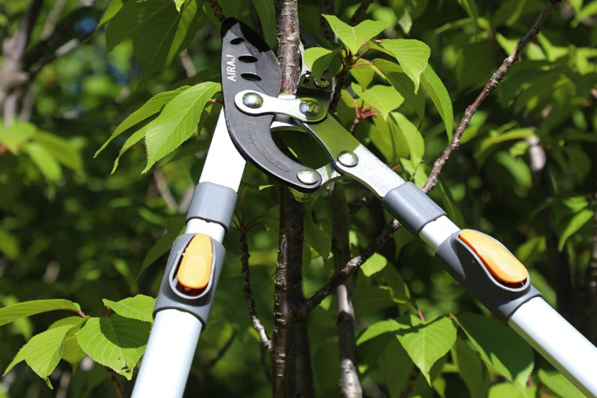Las 10 mejores tijeras de podar