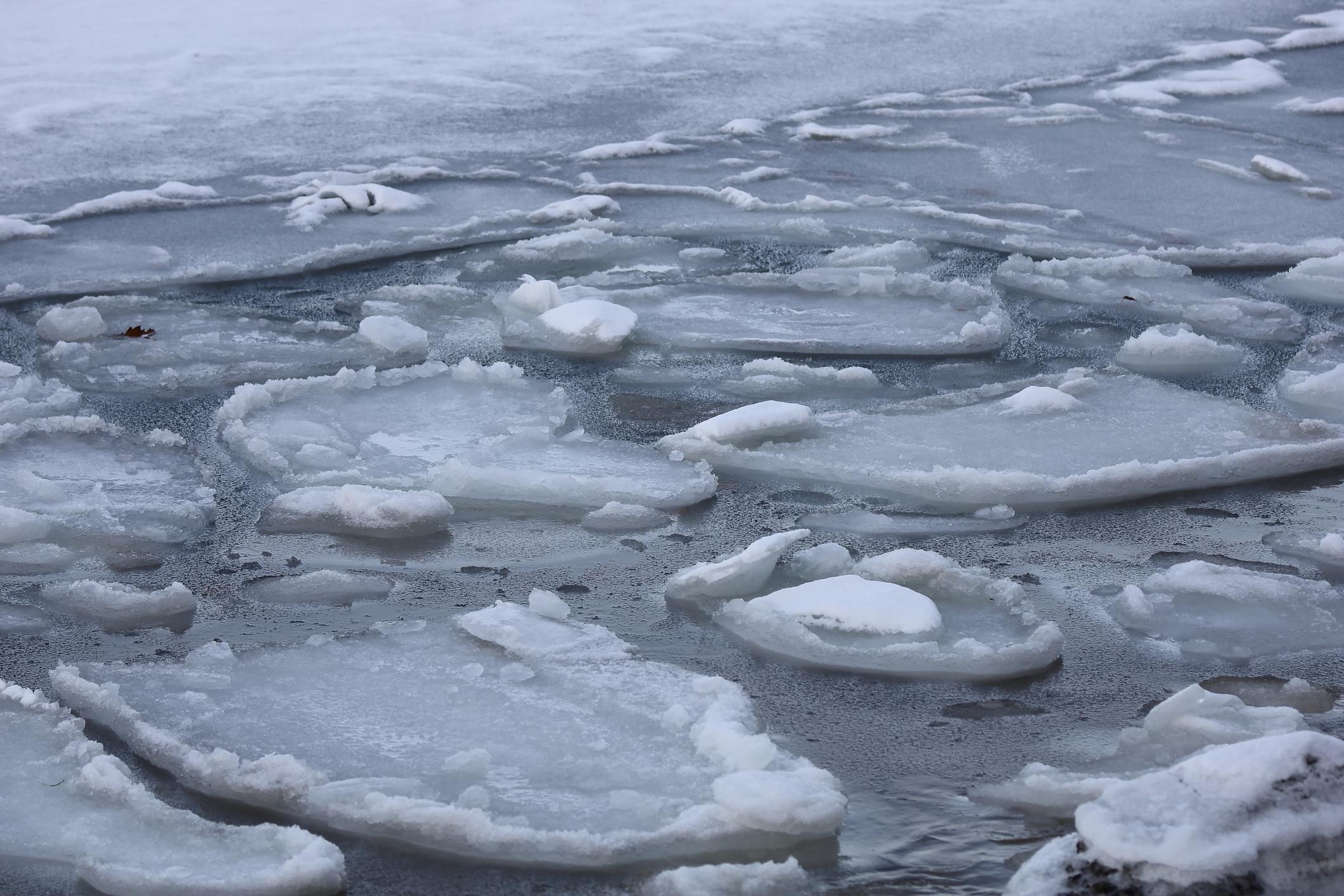 Por qué el hielo flota en el agua - Descubre el motivo
