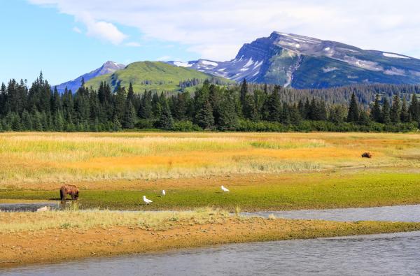 Biosfera: qué es, características y capas - Resumen