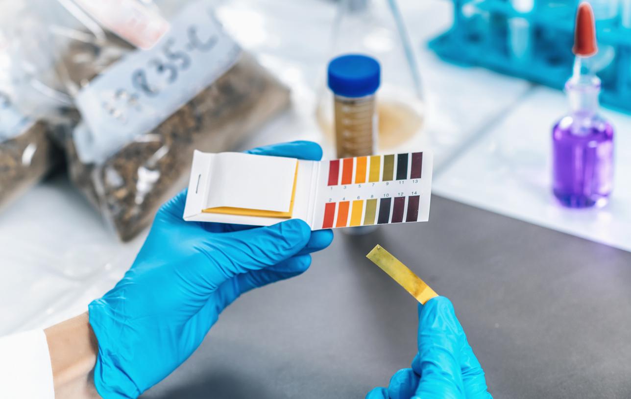Cómo medir el pH de la tierra de forma casera - Consejos