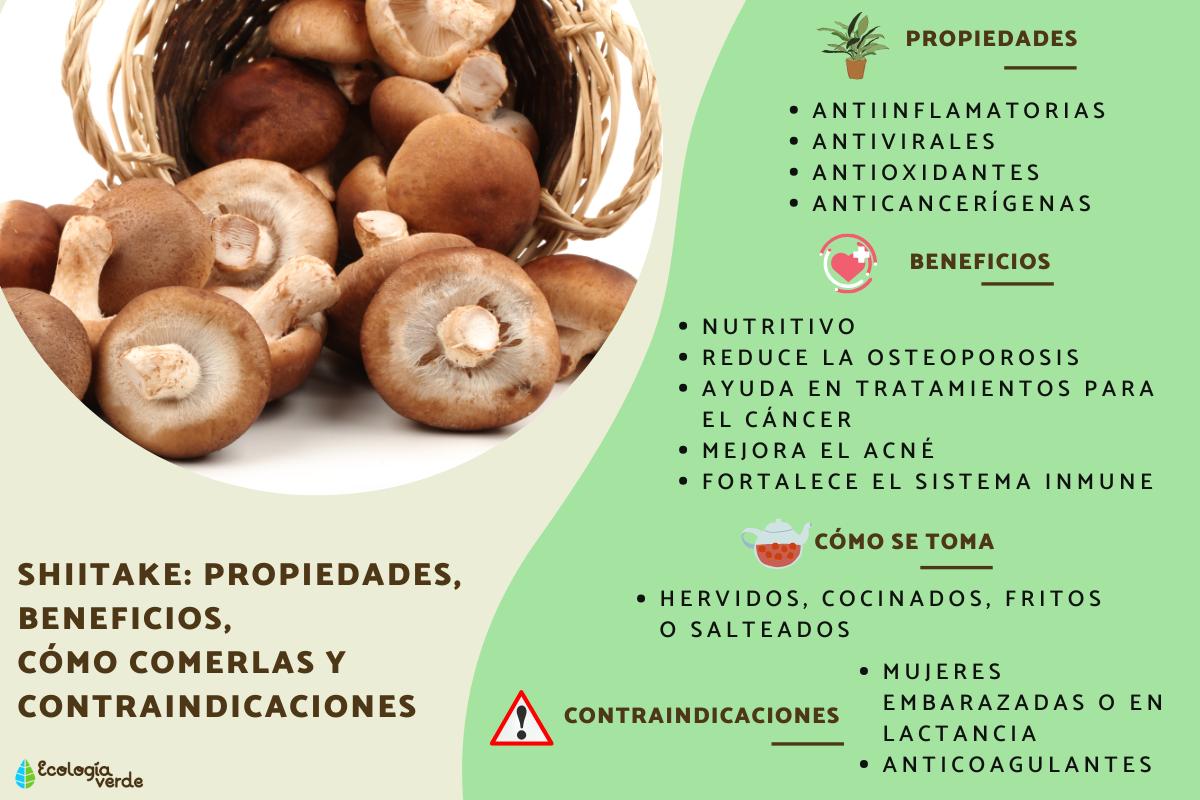 Shiitake: propiedades, beneficios, cómo comerlas y contraindicaciones - Guía