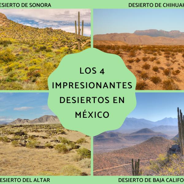 Los Biomas Del Desierto De Mojave