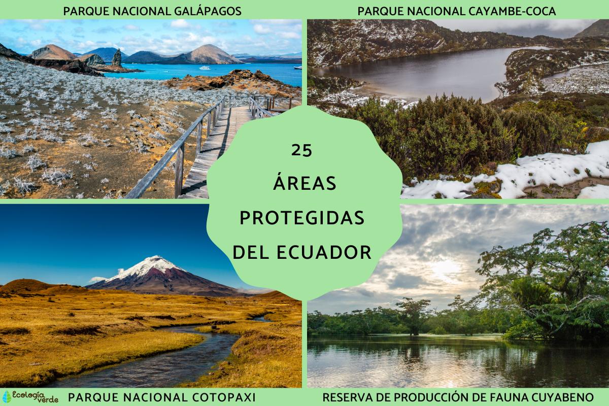 25 áreas protegidas del Ecuador - Nombres y fotos 25 áreas protegidas del Ecuador - Nombres y fotos